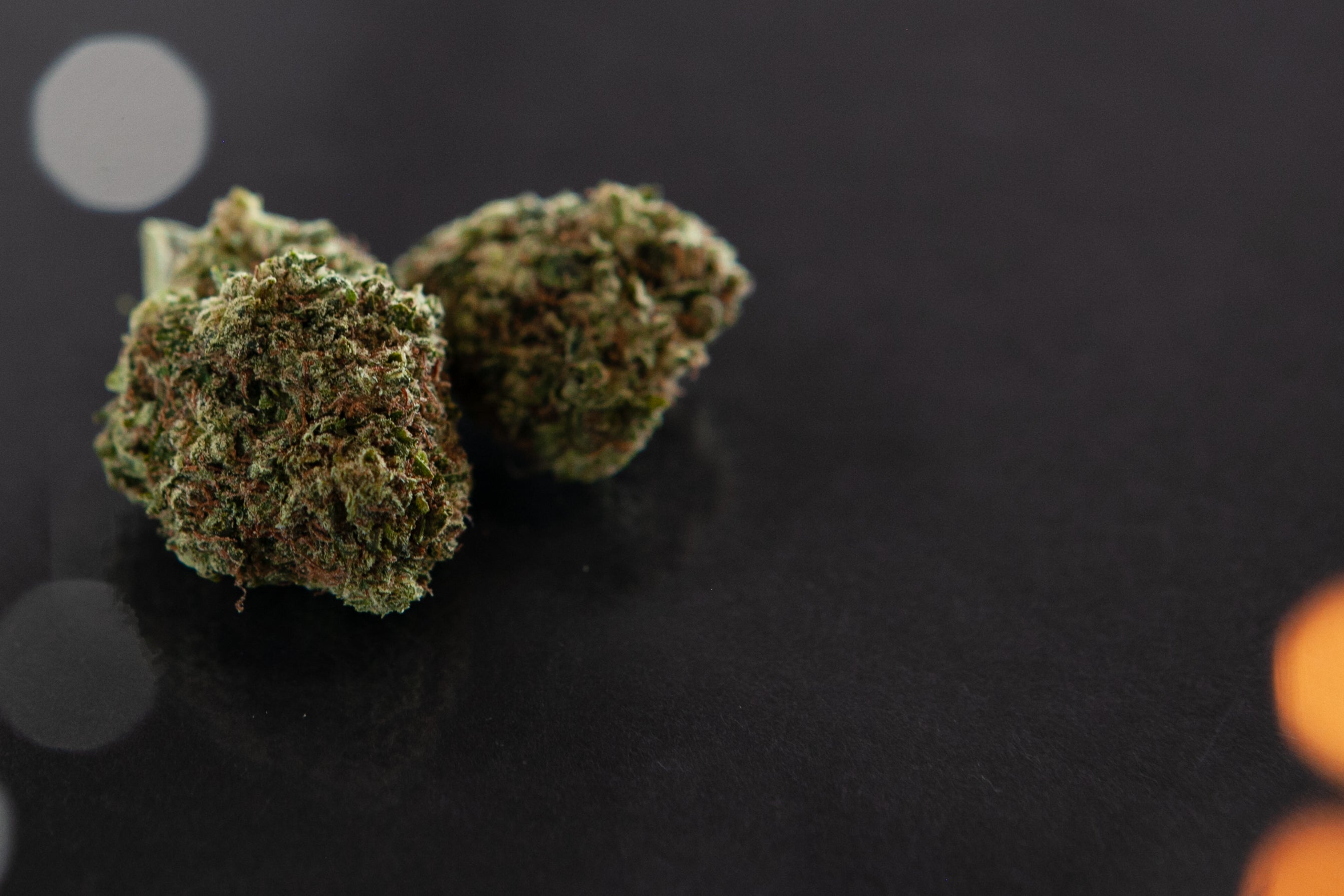 THC Premium Flower 7gs | THE URBAN FLOWER COMPANY